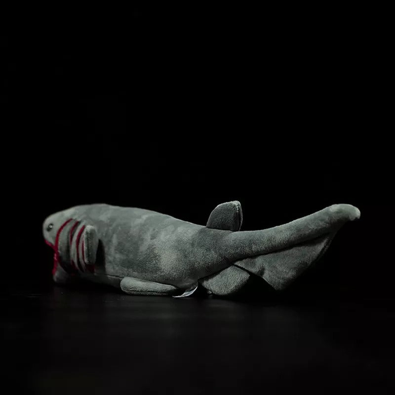 Lifelike Plushie Frilled Shark Plush Toy – Plushie Land