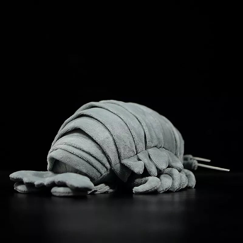 Giant Isopod Plushie Realistic Soft Toy Plush – Plushie Land