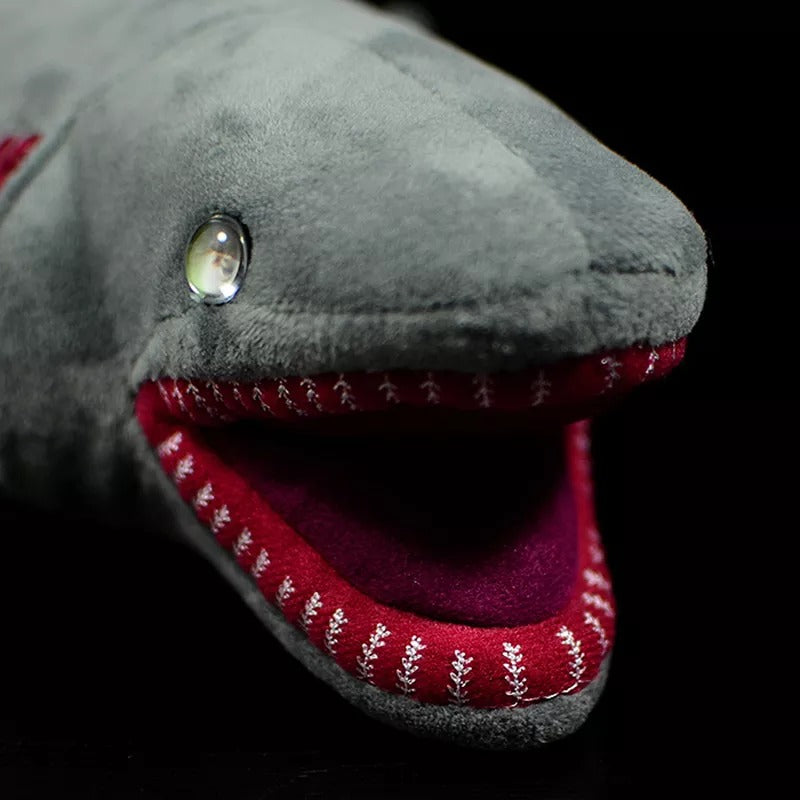 Lifelike Plushie Frilled Shark Plush Toy – Plushie Land